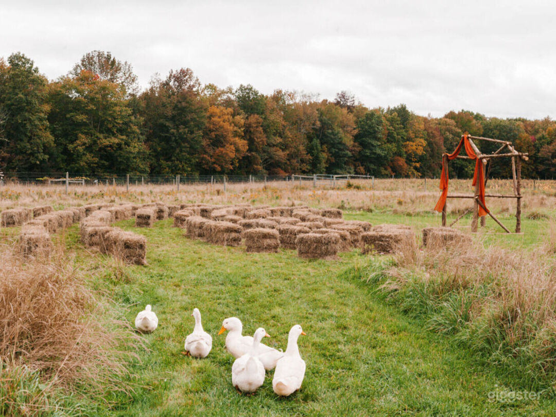 Charming 12-Acre Farm with Barn, Animals & Big Sky | Rent this location ...