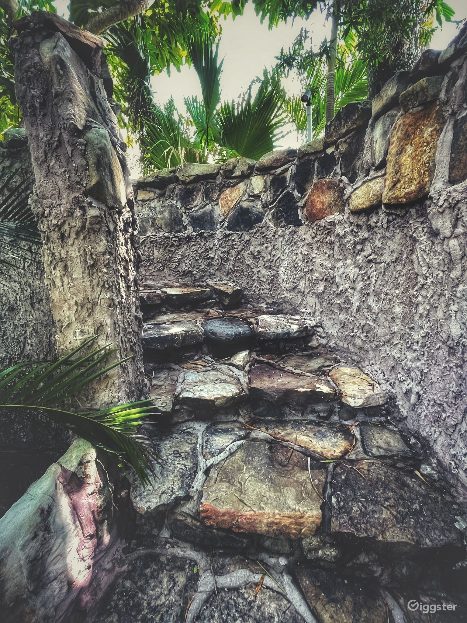 Secret Oasis Davie | Rent this location on Giggster