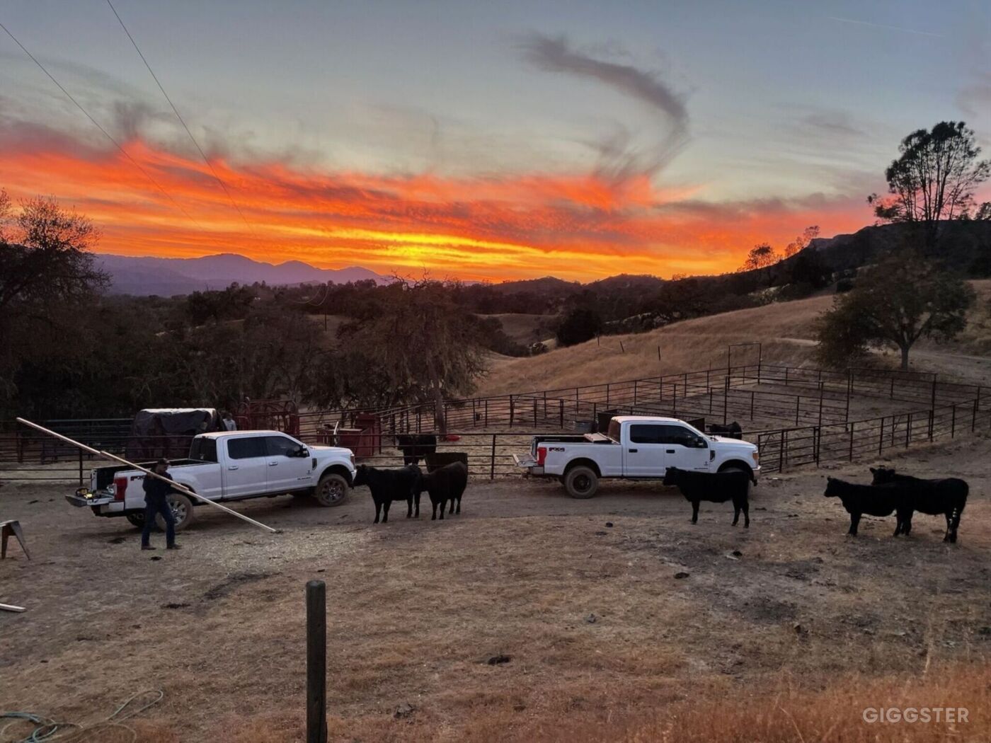 White Oaks Ranch - Working Cattle Ranch | Rent this location on Giggster