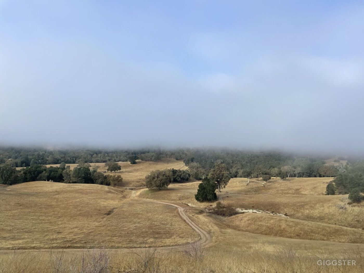 White Oaks Ranch - Working Cattle Ranch | Rent this location on Giggster