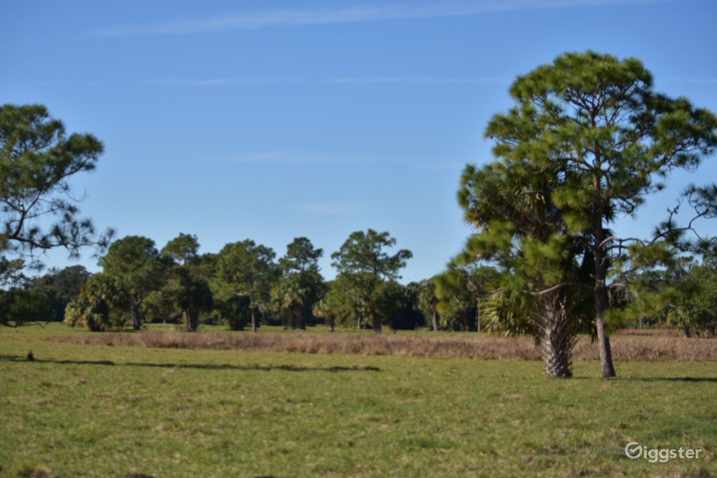 Picturesque Old Florida Ranch | Rent this location on Giggster