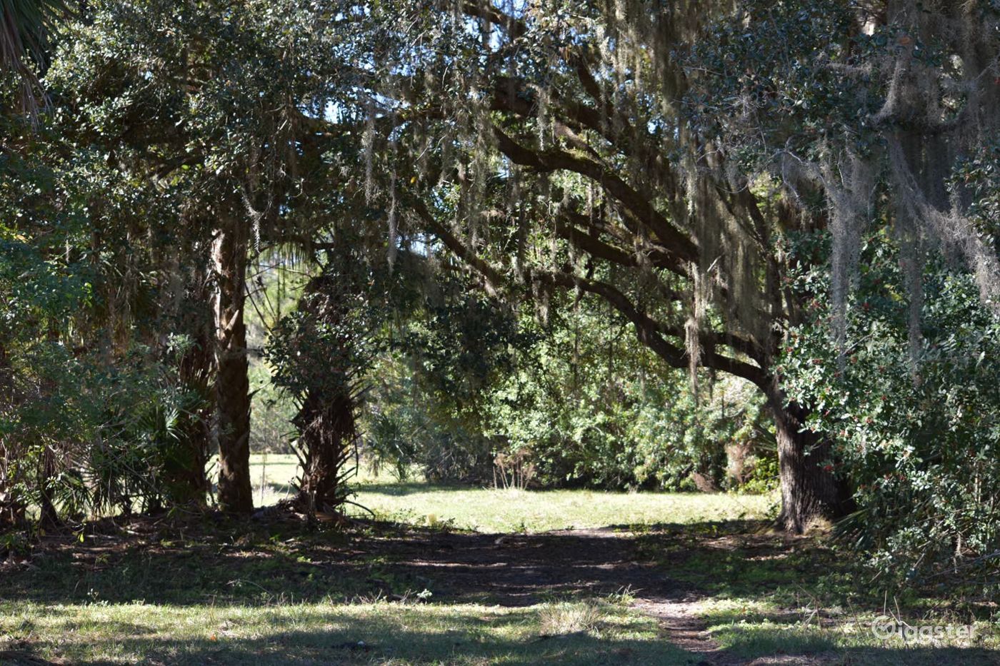Picturesque Old Florida Ranch | Rent this location on Giggster