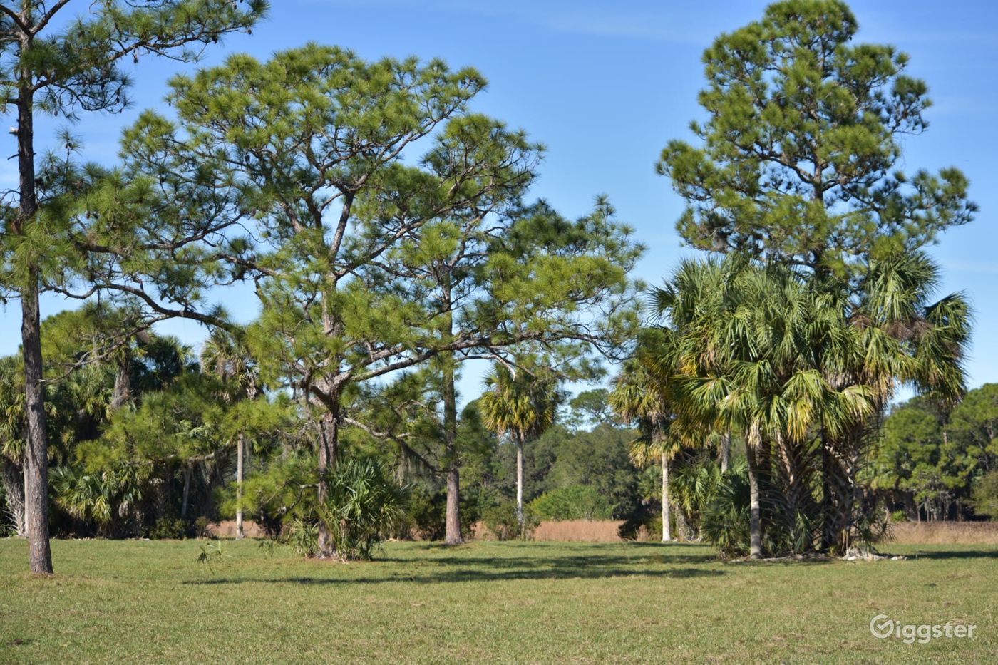 Picturesque Old Florida Ranch | Rent this location on Giggster
