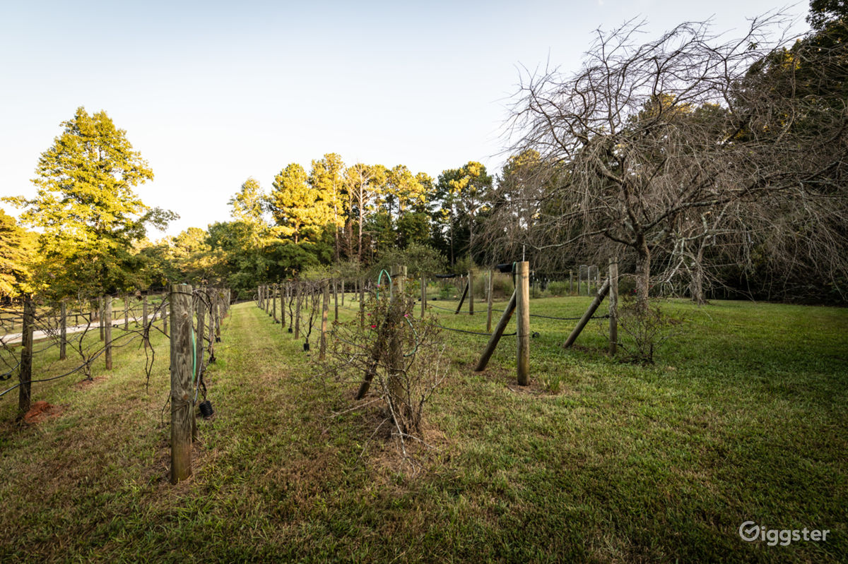 40 Acre Farm - Rustic Farmhouse - Homestead | Rent this location on ...