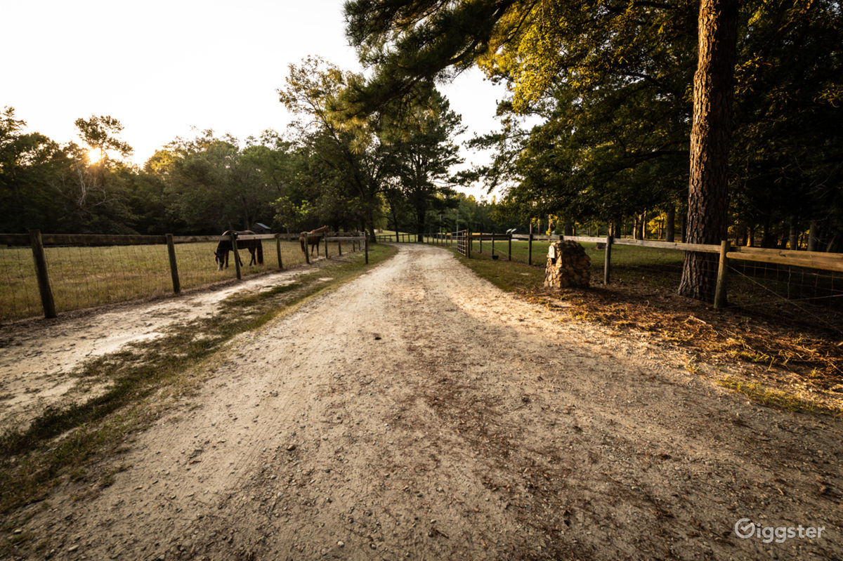 40 Acre Farm - Rustic Farmhouse - Homestead | Rent this location on ...