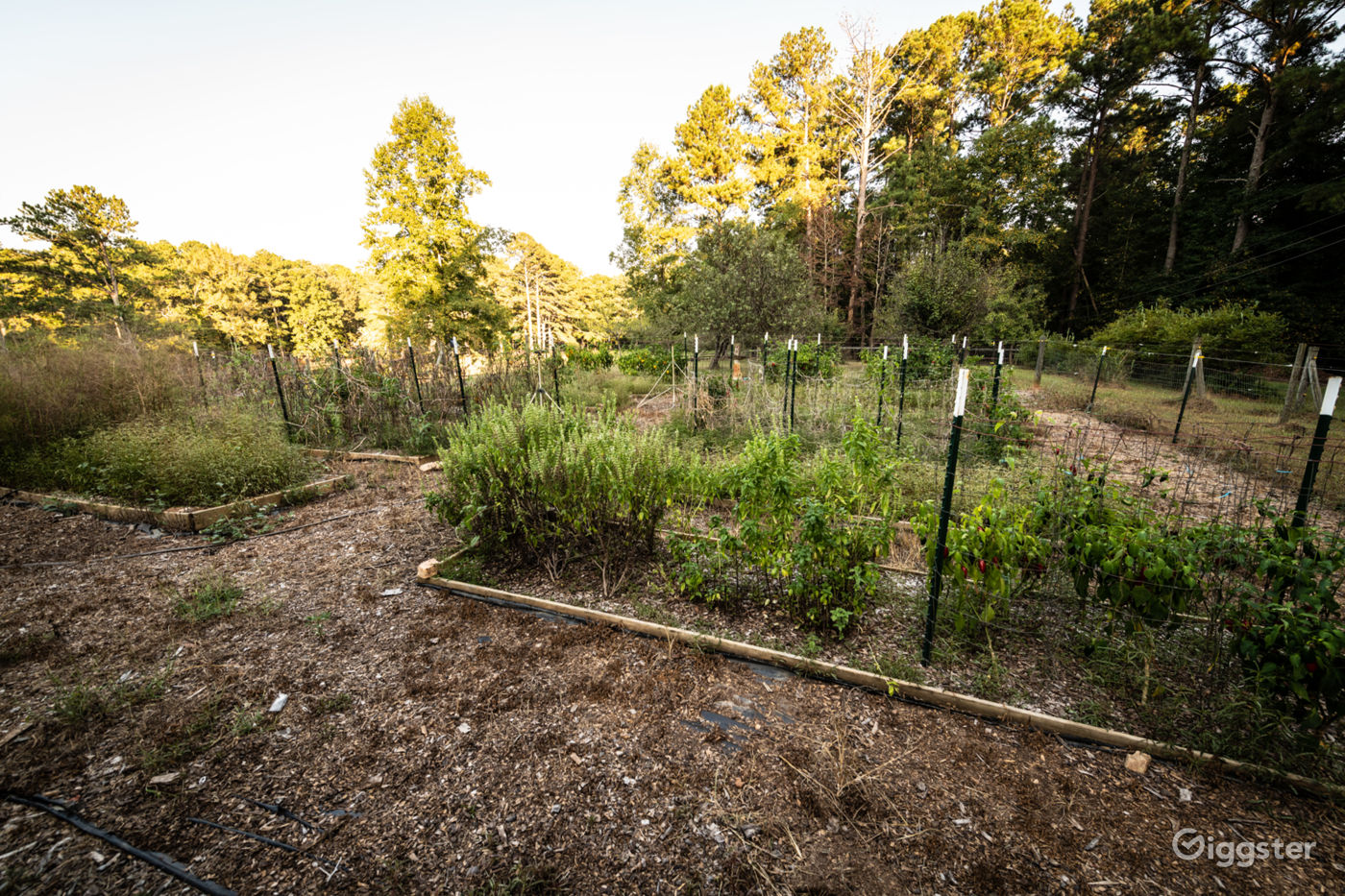 40 Acre Farm - Rustic Farmhouse - Homestead | Rent this location on ...