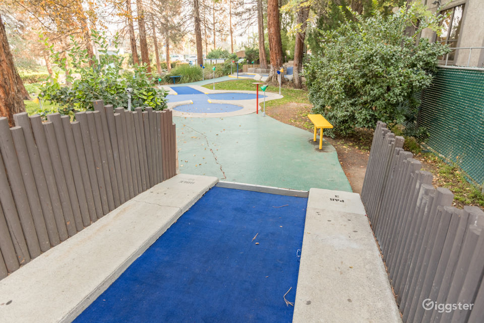 Medieval Mini Golf and Retro Arcade | Rent this location on Giggster