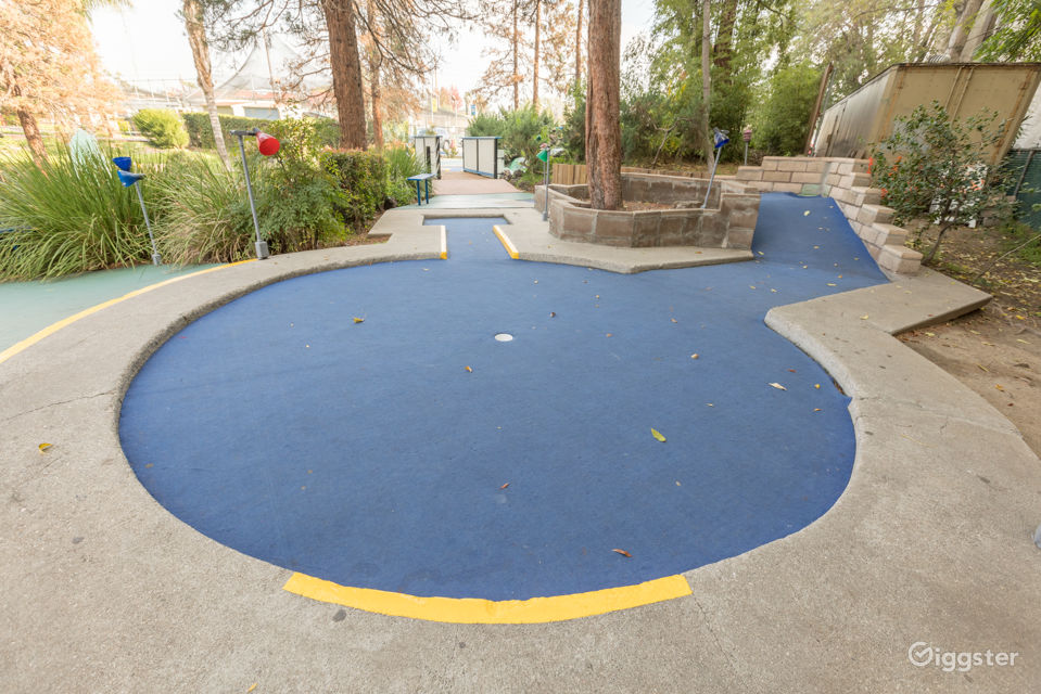 Medieval Mini Golf and Retro Arcade | Rent this location on Giggster