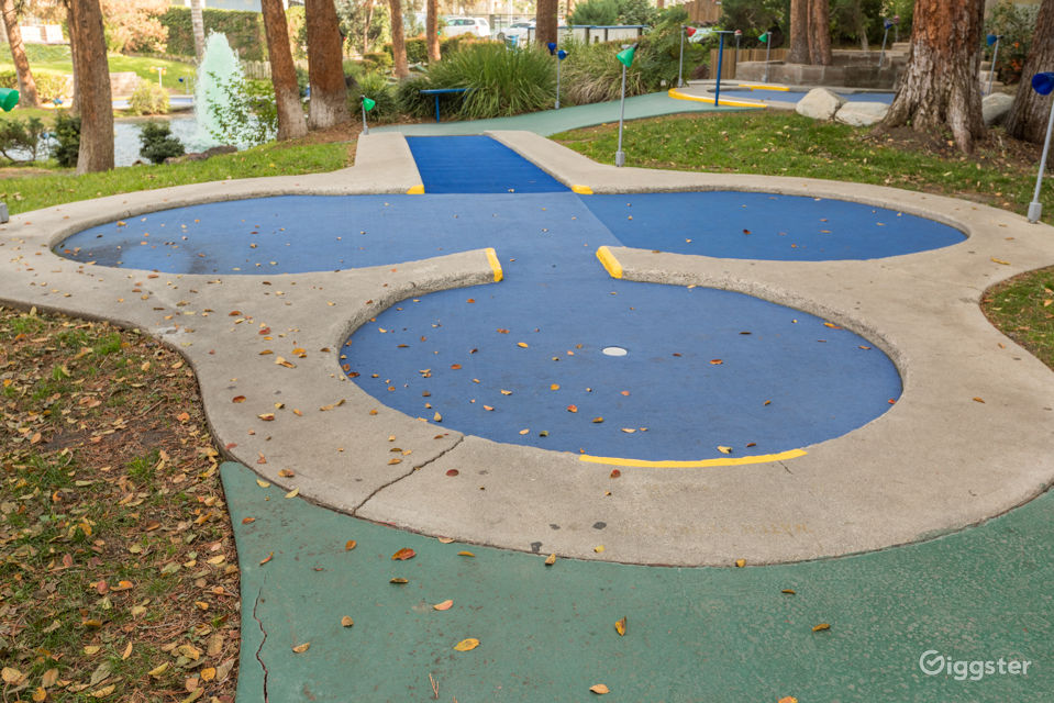 Medieval Mini Golf and Retro Arcade | Rent this location on Giggster