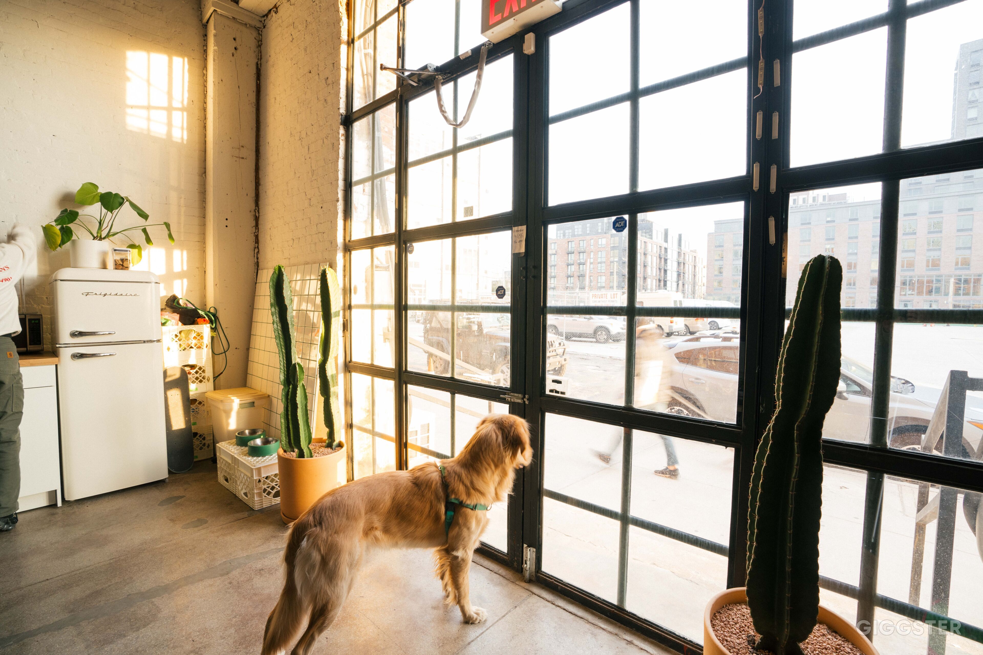 Rustic Greenpoint Loft/Studio, Sunlit Open Space | Rent this location ...