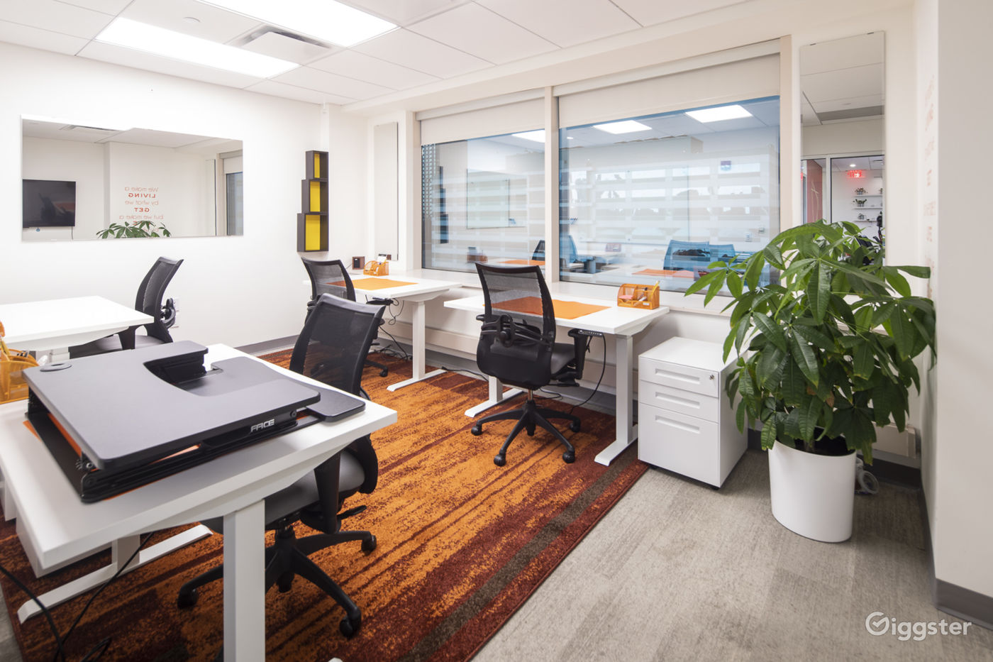 Coworking Shared Office Space Rent This Location On Giggster