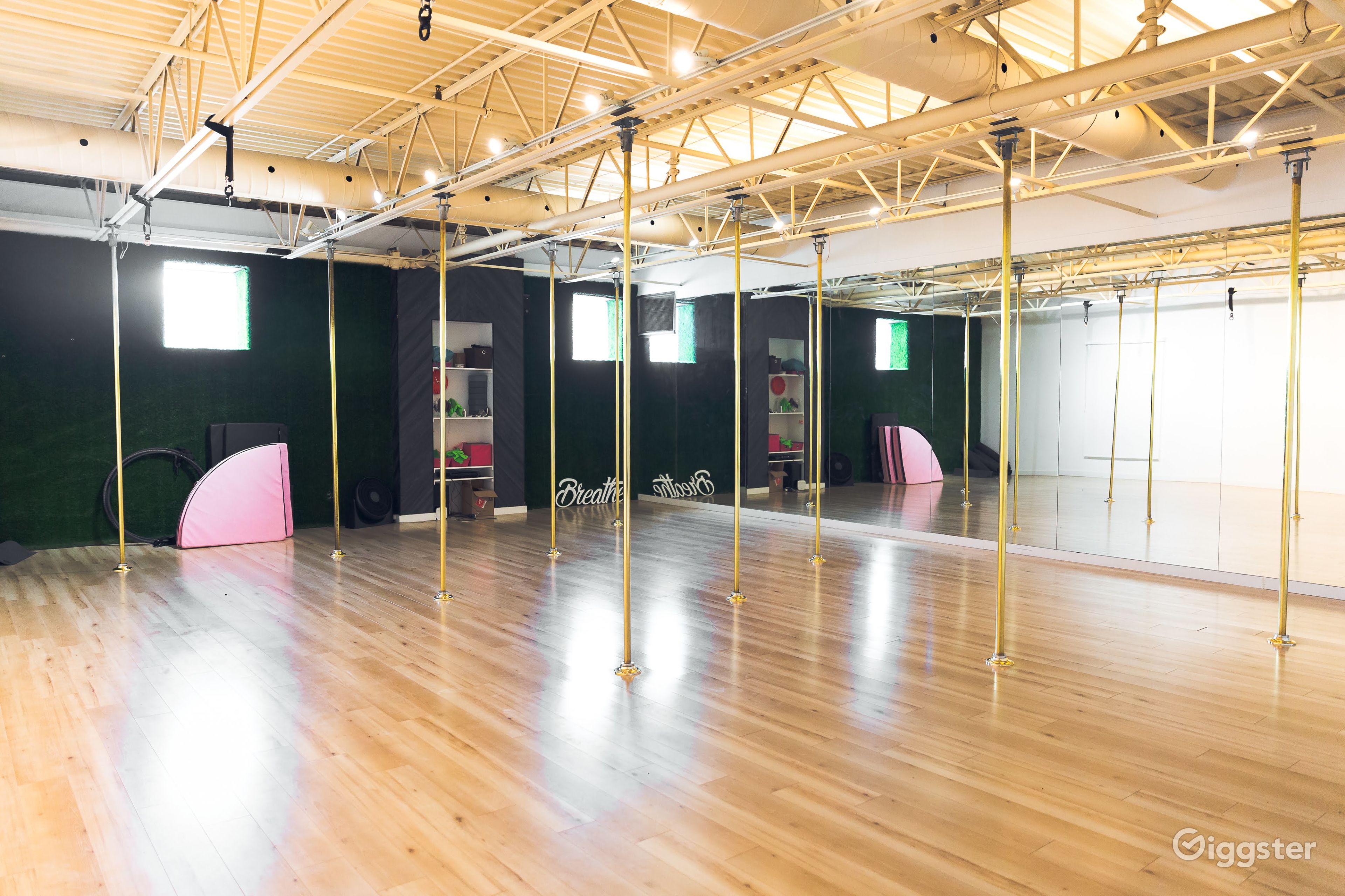 Two unique Pole dancing studios located in Vaughn | Rent this location ...