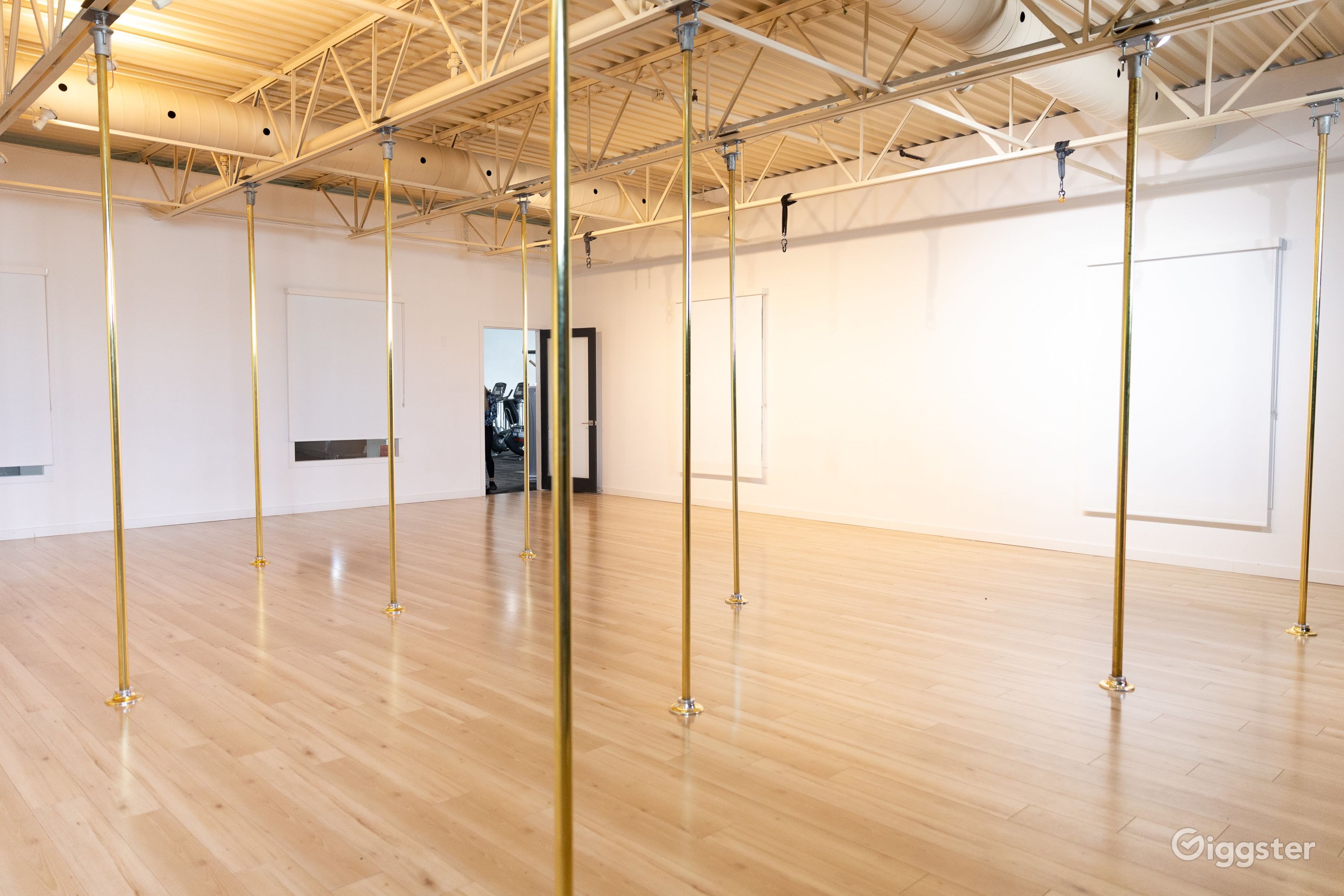 Two unique Pole dancing studios located in Vaughn | Rent this location ...