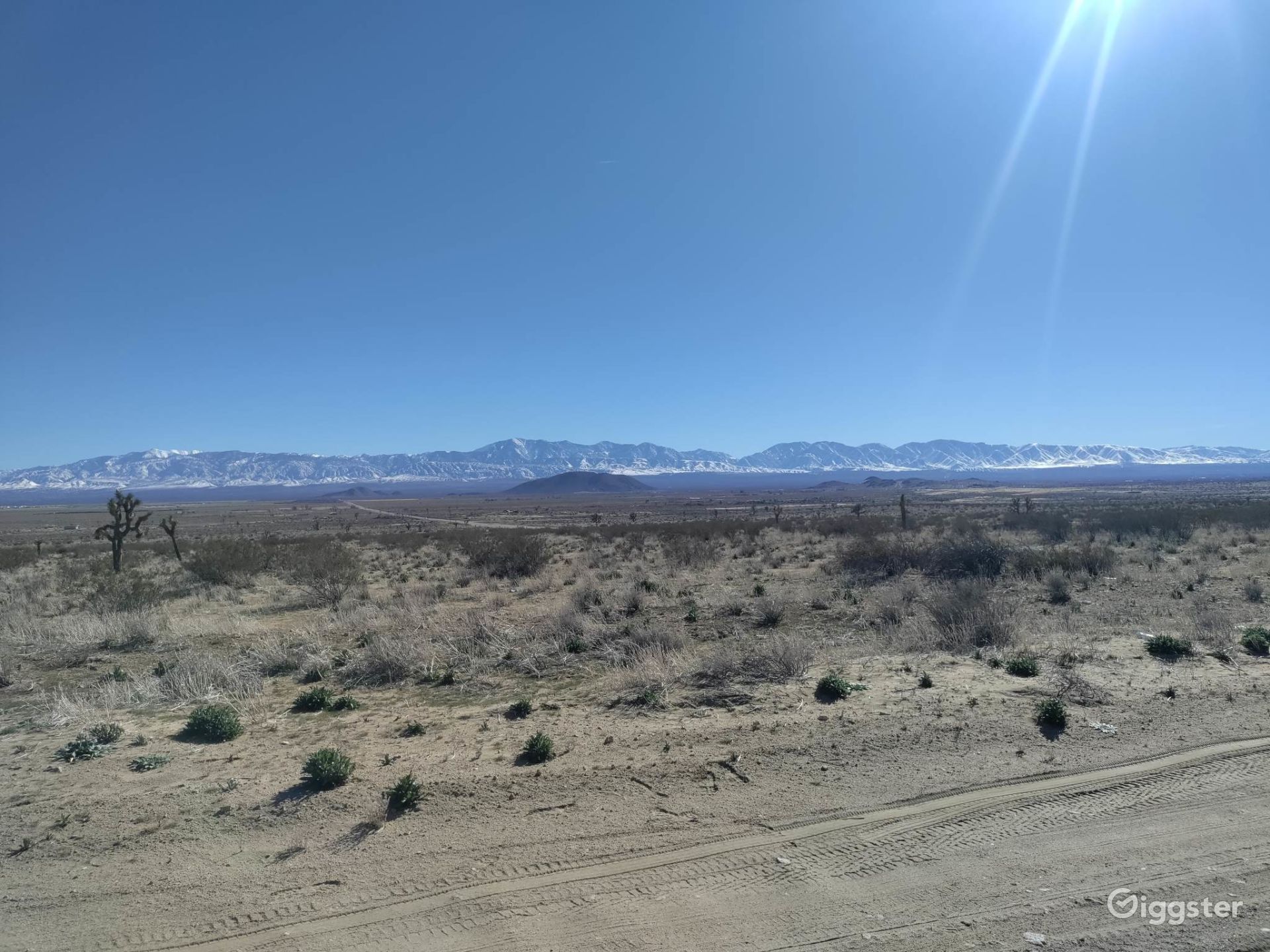 2.67 acres of Mojave Desert Wilderness | Rent this location on Giggster