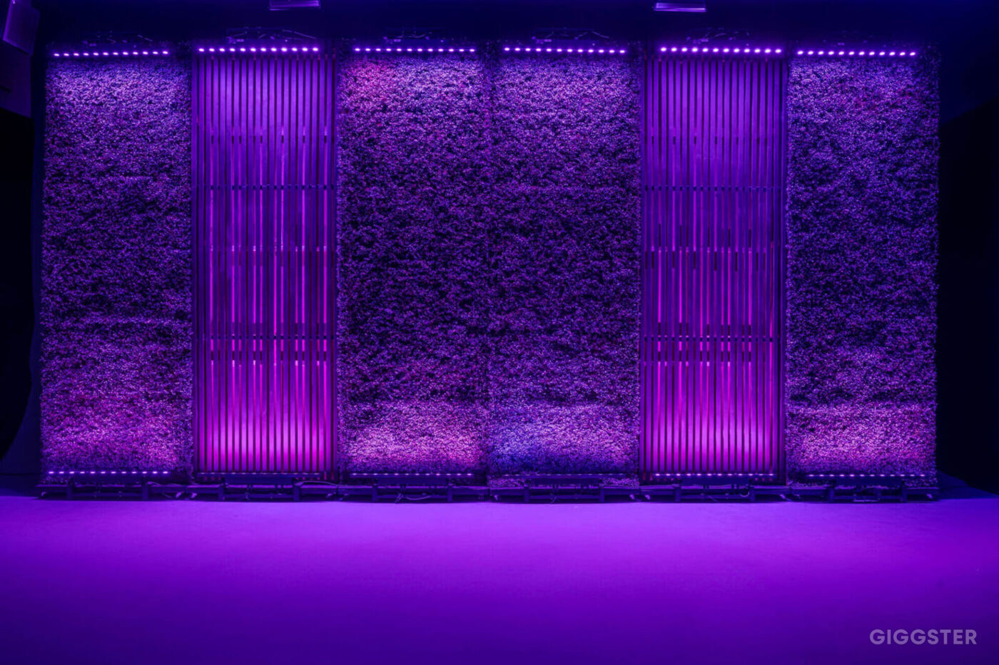 CYC Wall for Photoshoots, Filming, Live Events | Rent this location on ...