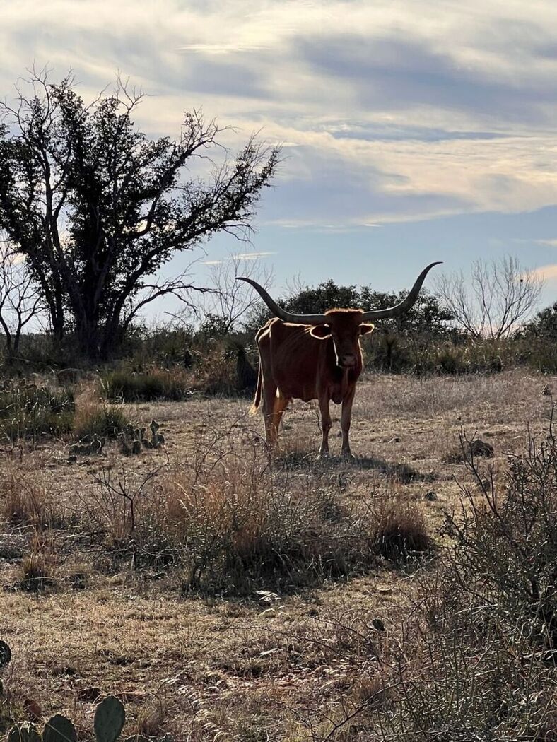 Old West, Western Movie Ranch -168 acres | Rent this location on Giggster