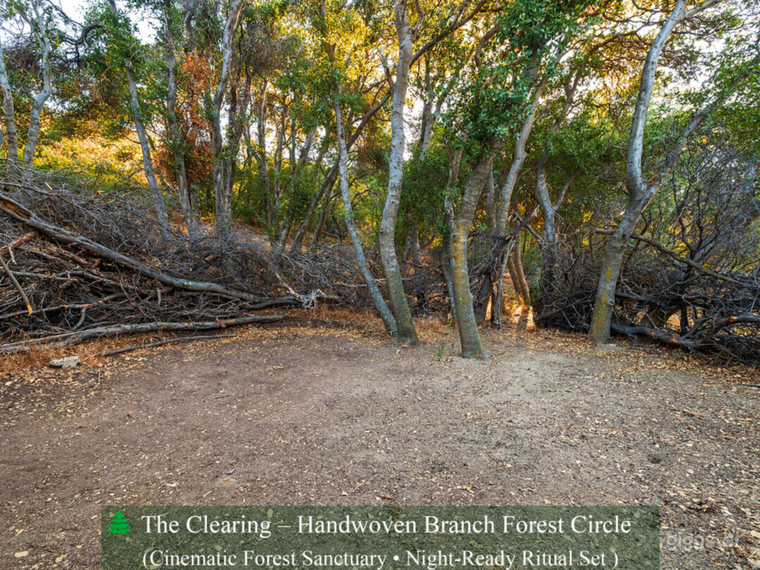 The Clearing – Ephemeral Forest Circle | Natural Set | Rent this ...