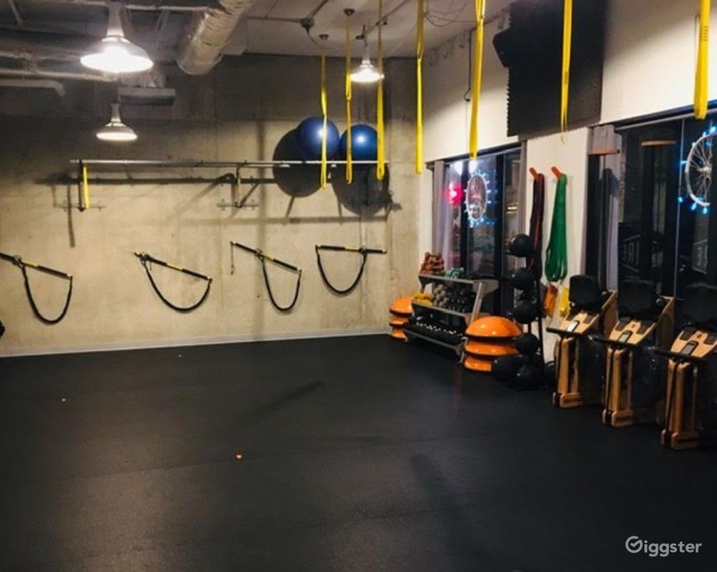 Milwaukee's Premier TRX Studio | Rent this location on Giggster