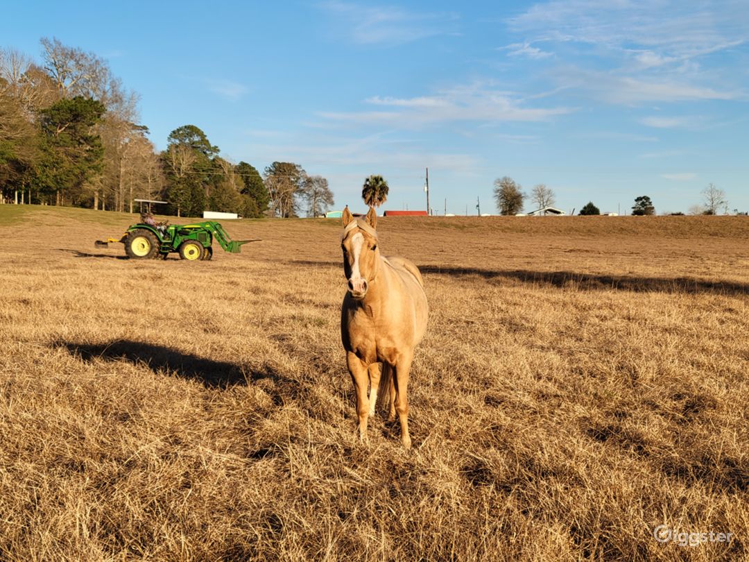 Hallmark Movie-Ready 54 Acre Ranch! | Rent this location on Giggster