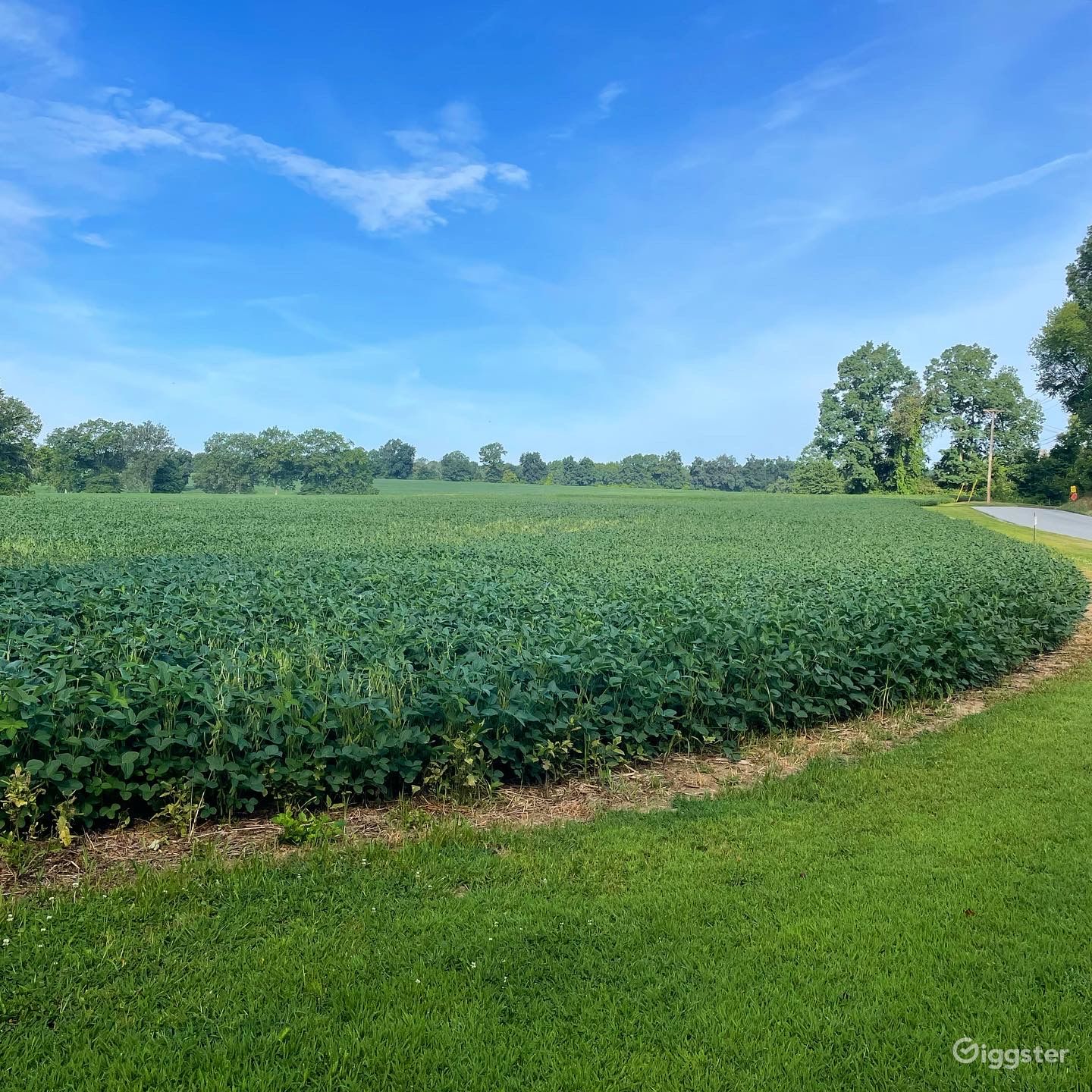 150 Acre Farm with Barn, Lake and Beautiful Fields | Rent this location ...