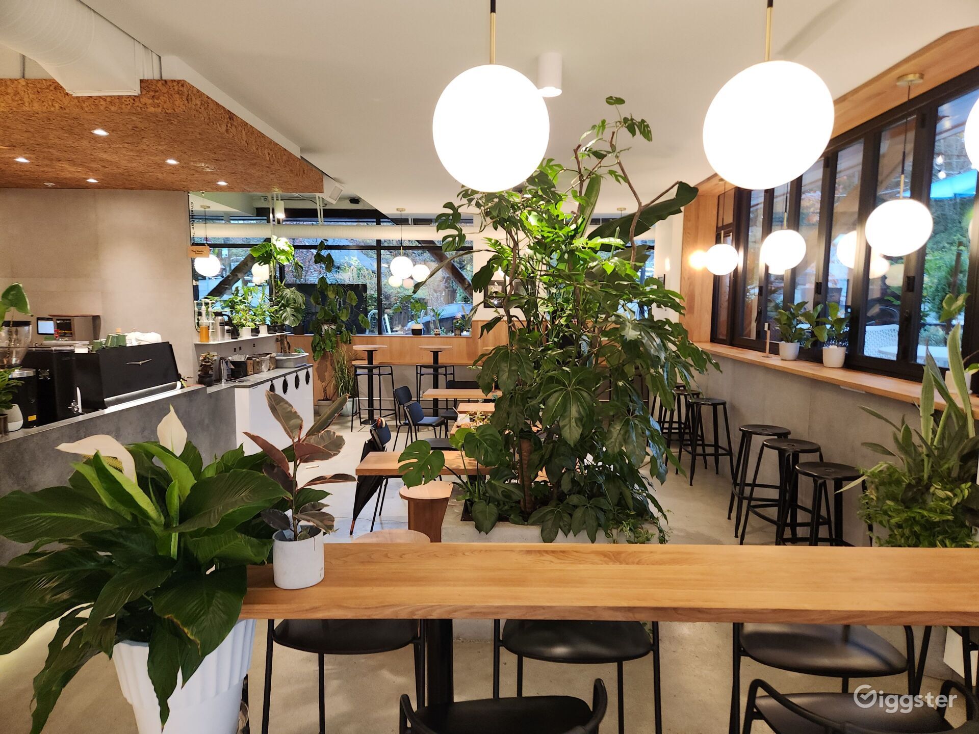 Quiet & Cozy Espresso Bar & Bakery | Rent this location on Giggster