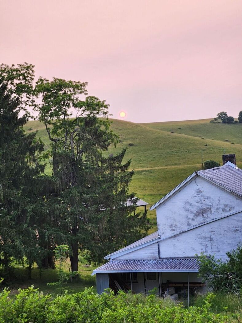 Rolling Hills Farm and Cattle | Rent this location on Giggster