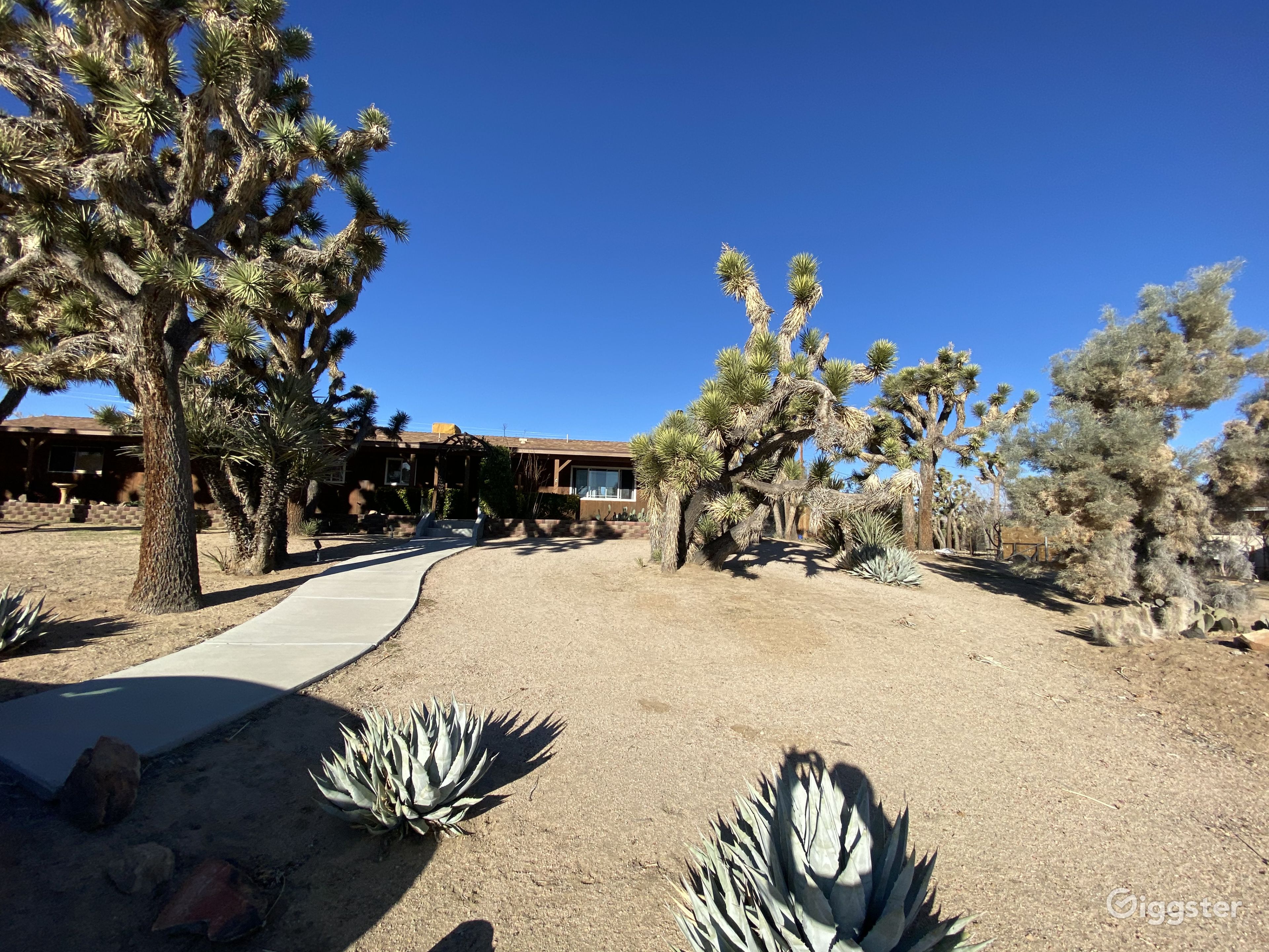 Joshua Tree Forest Oasis | Rent this location on Giggster