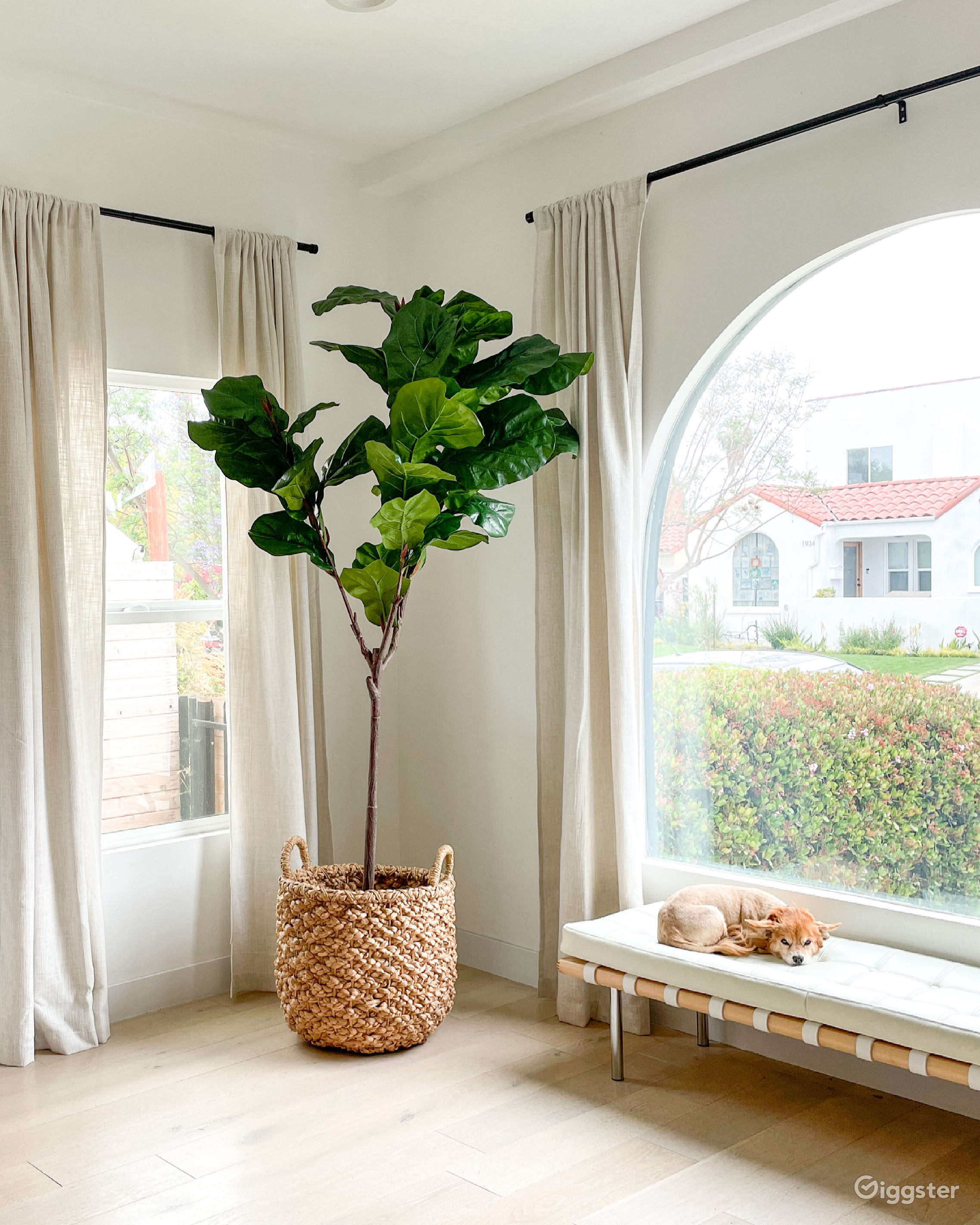 The BEST 10 Graduation Party venues near me | Giggster