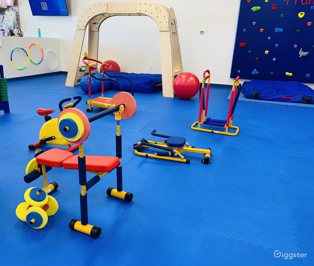 Franklin's Amazing Indoor Playground for Kids on the Spectrum (Entire ...