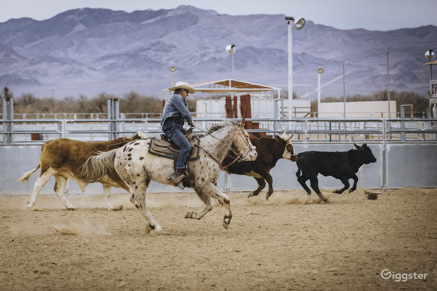 160 acre dude ranch just 45 min from Las Vegas | Rent this location on ...