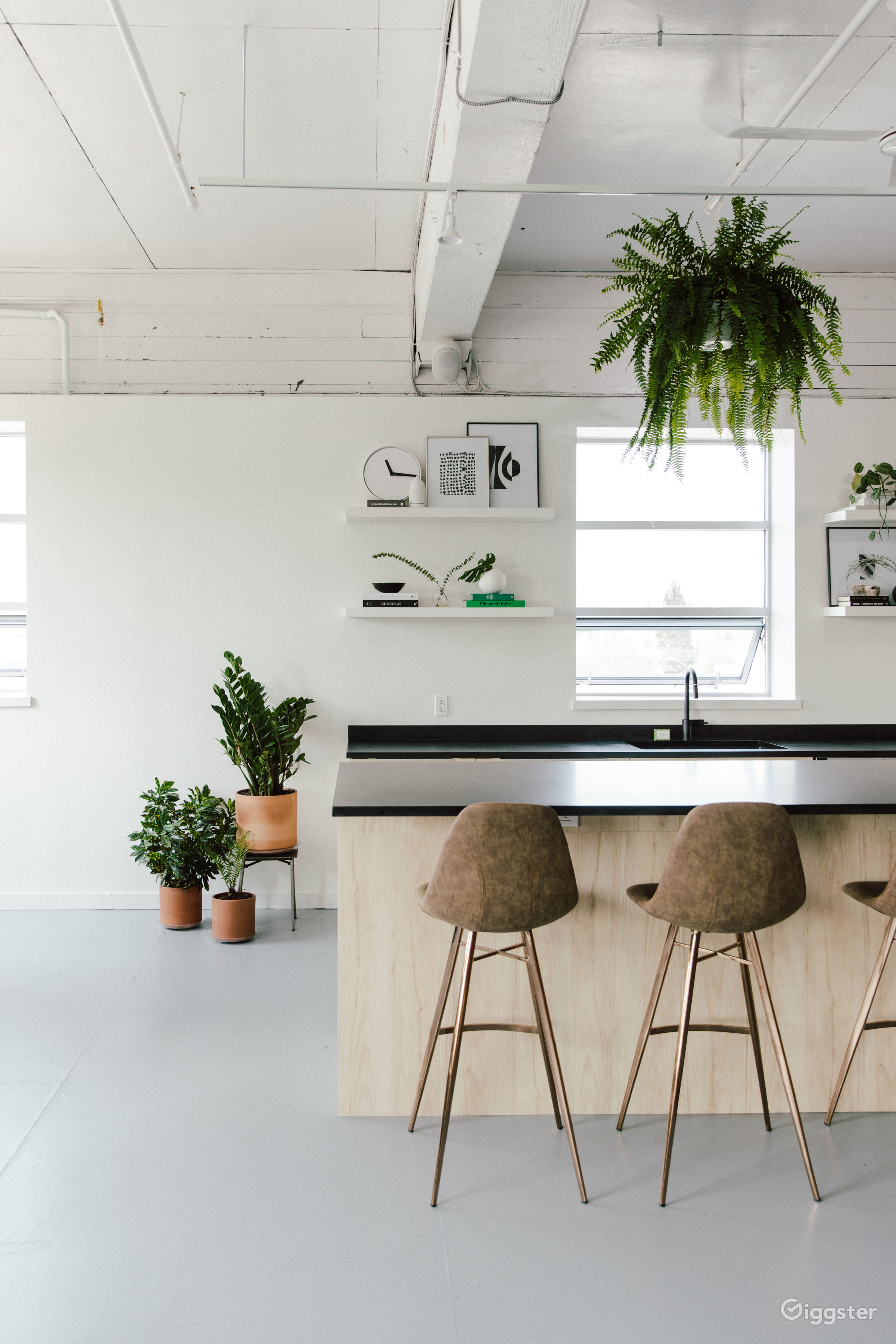Bright Naturally Lit Community Workspace | Rent this location on Giggster