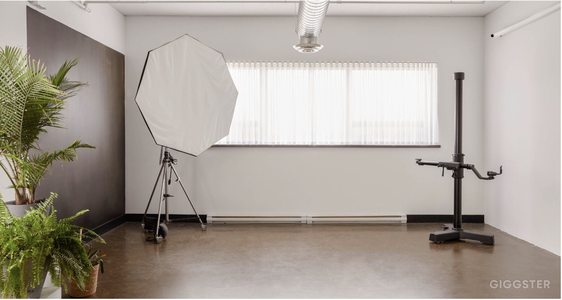 The Daylight Studio | Rent this location on Giggster