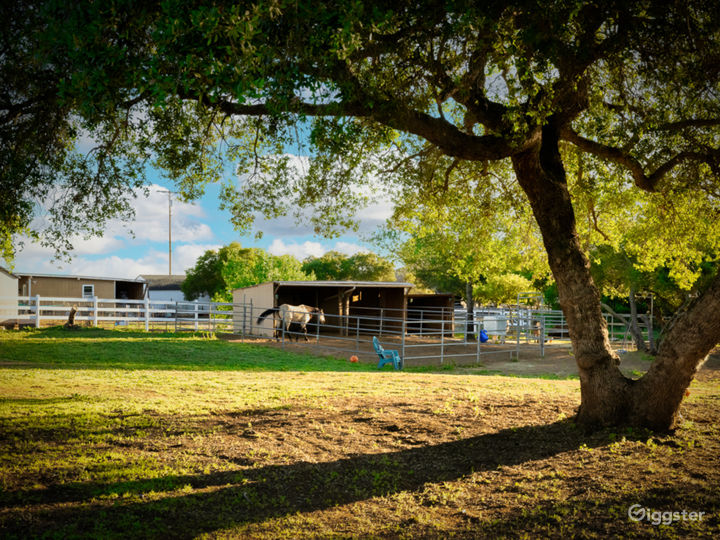 Ranch and Farm Animal Sanctuary | Rent this location on Giggster