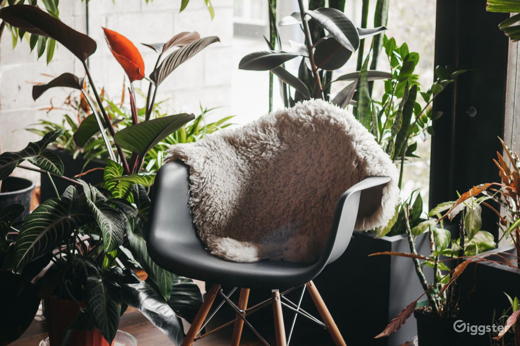 Beautiful Studio Event Space w/ Natural Light | Rent this location on ...