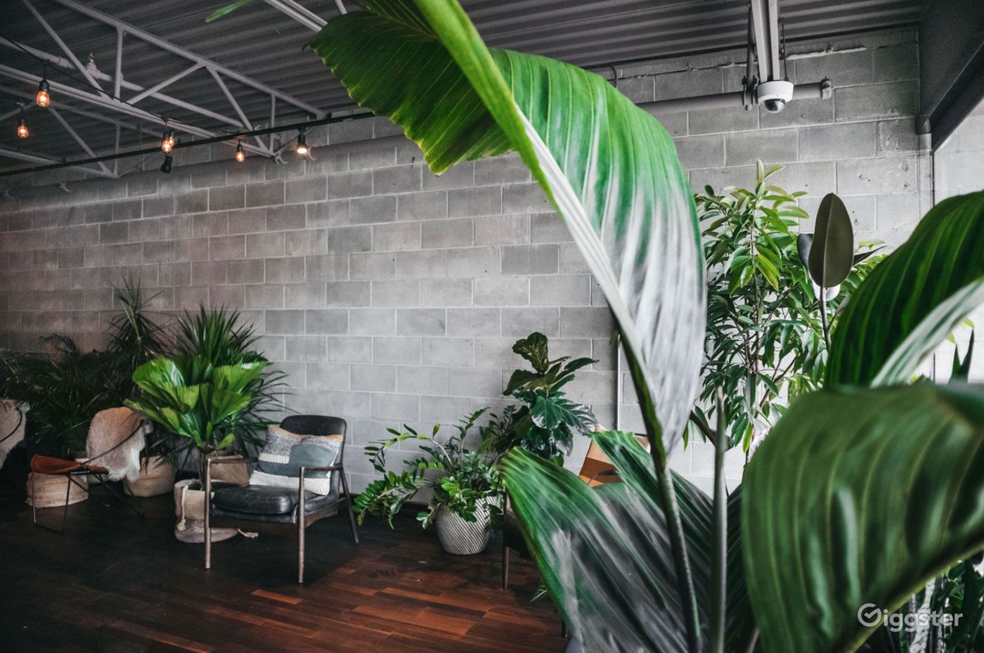 Beautiful Studio Event Space w/ Natural Light | Rent this location on ...