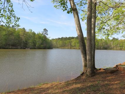 Recreational Park and Campground on Lake Harding | Rent this location ...