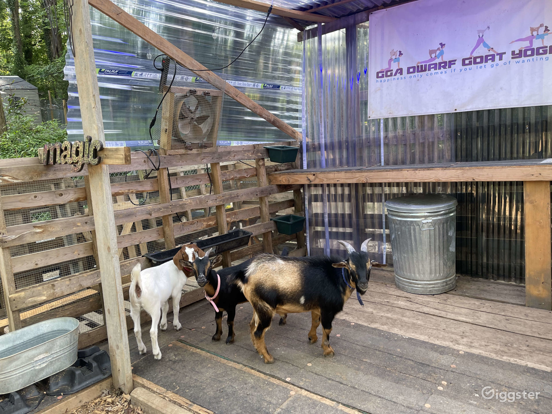 1 Acre Goat Farm with Chicken Coops | Rent this location on Giggster