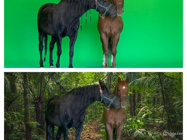 Cyclorama Green Screen & Photo Studio including Outdoor Sets | Rent ...