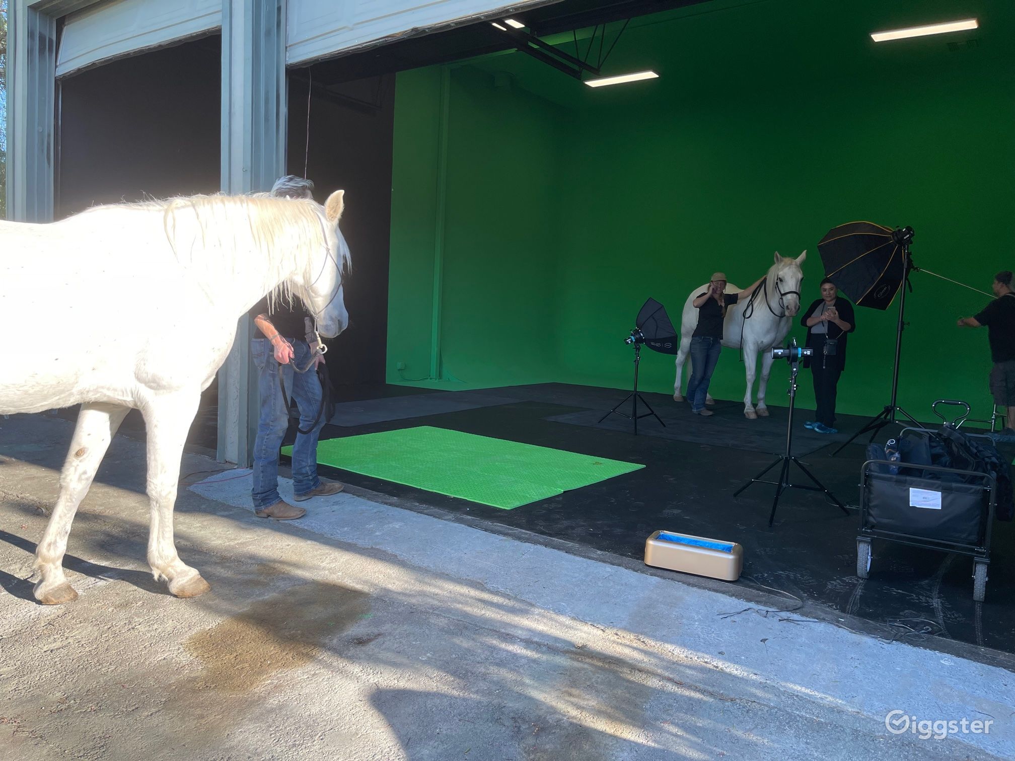 Cyclorama Green Screen & Photo Studio including Outdoor Sets | Rent ...