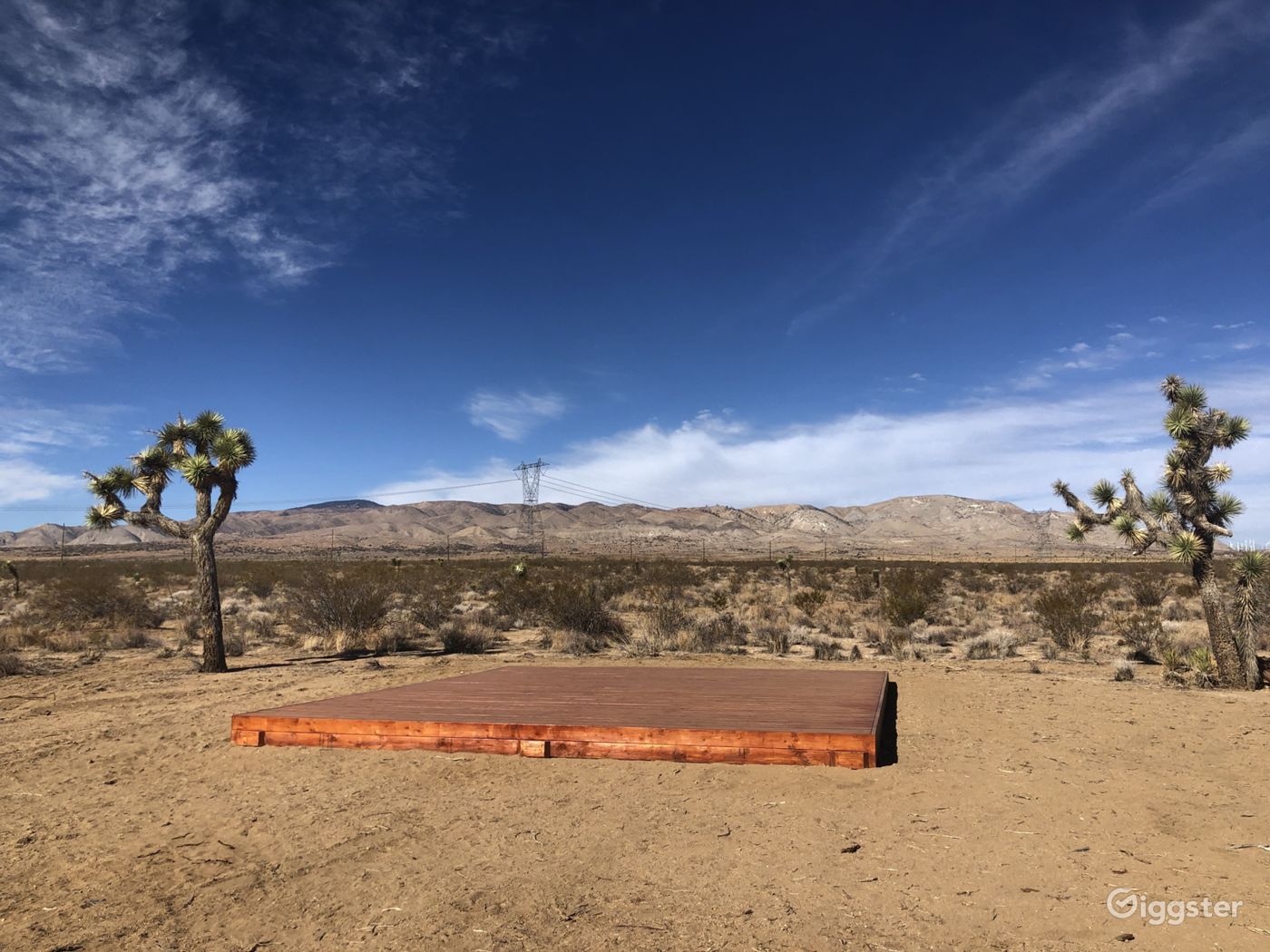 Epic High Desert Outdoor Venue with Joshua Trees | Rent this location ...