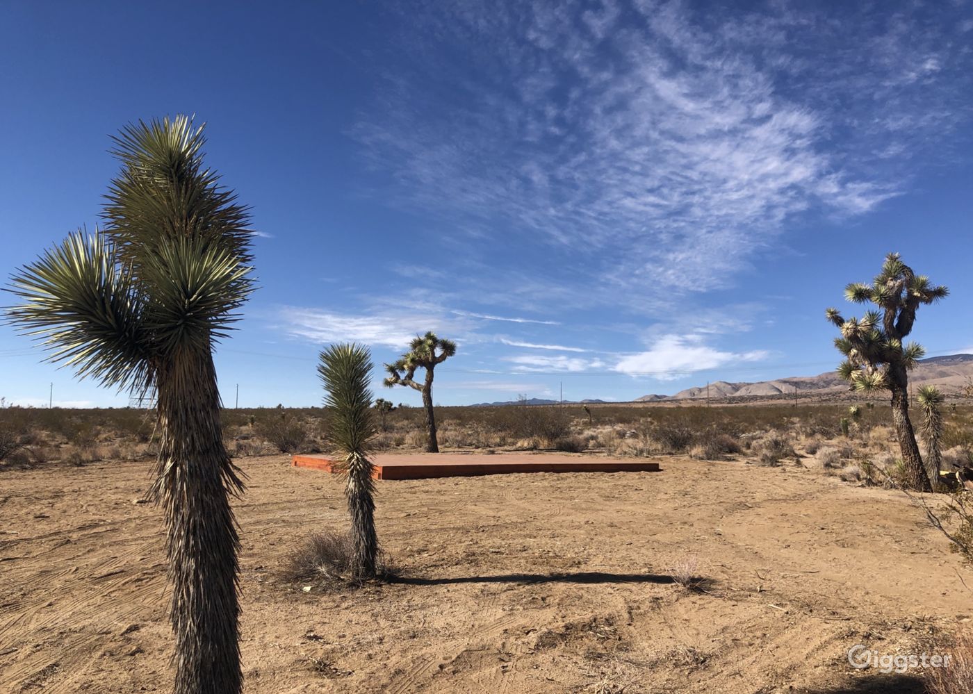 Epic High Desert Outdoor Venue with Joshua Trees | Rent this location ...