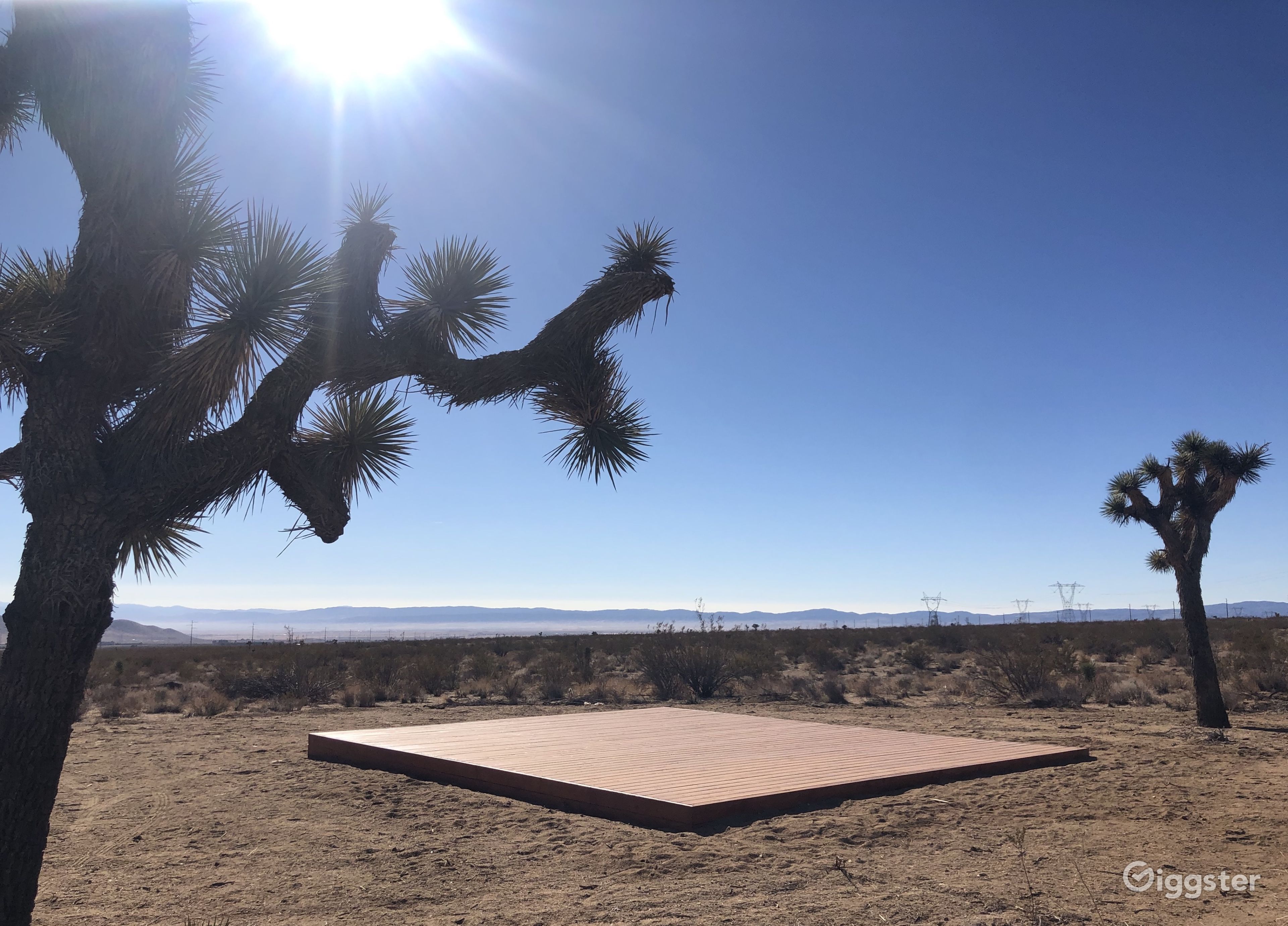 Epic High Desert Outdoor Venue with Joshua Trees | Rent this location ...