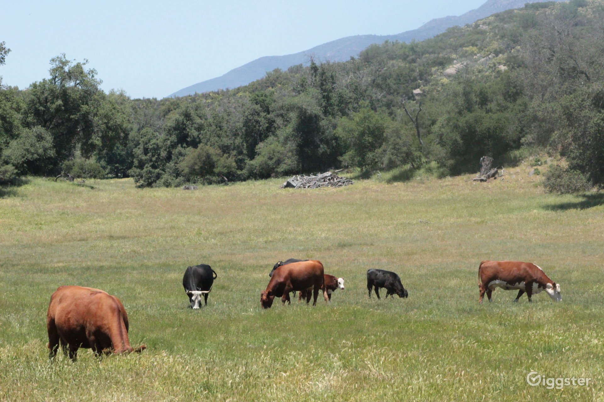 Off-Grid Ranch | Rent this location on Giggster