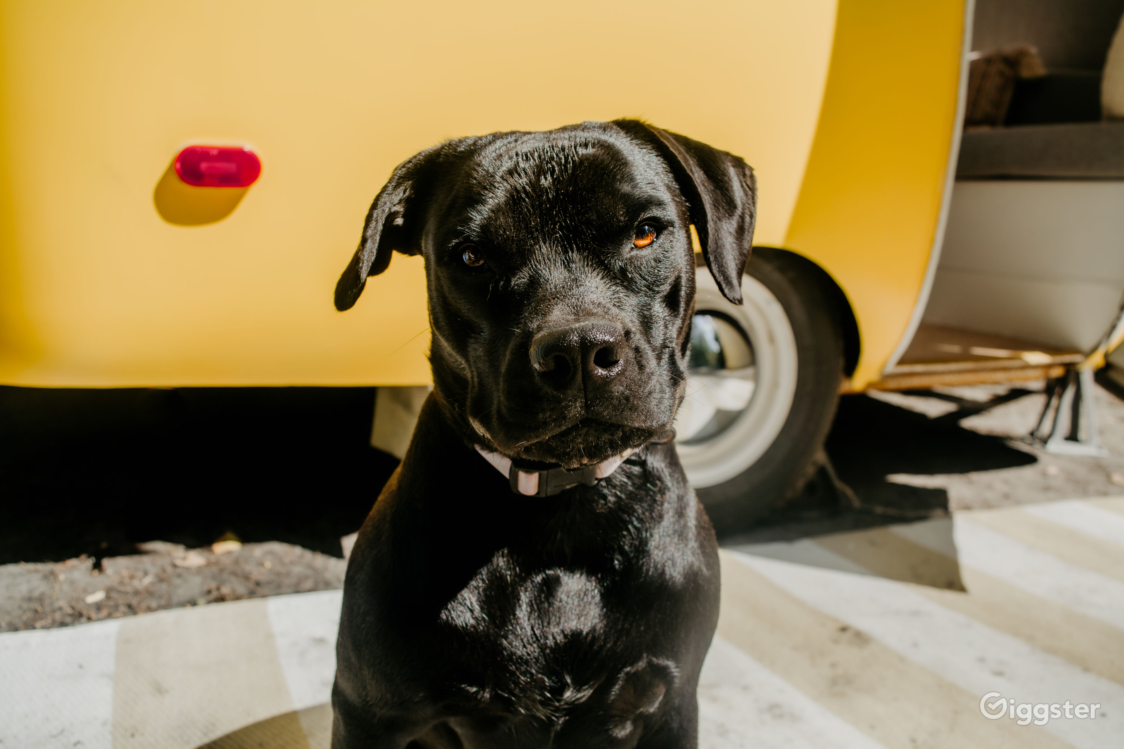 Vintage 1970s Boler Trailer - Miss Daisy Lane | Rent this location on Giggster