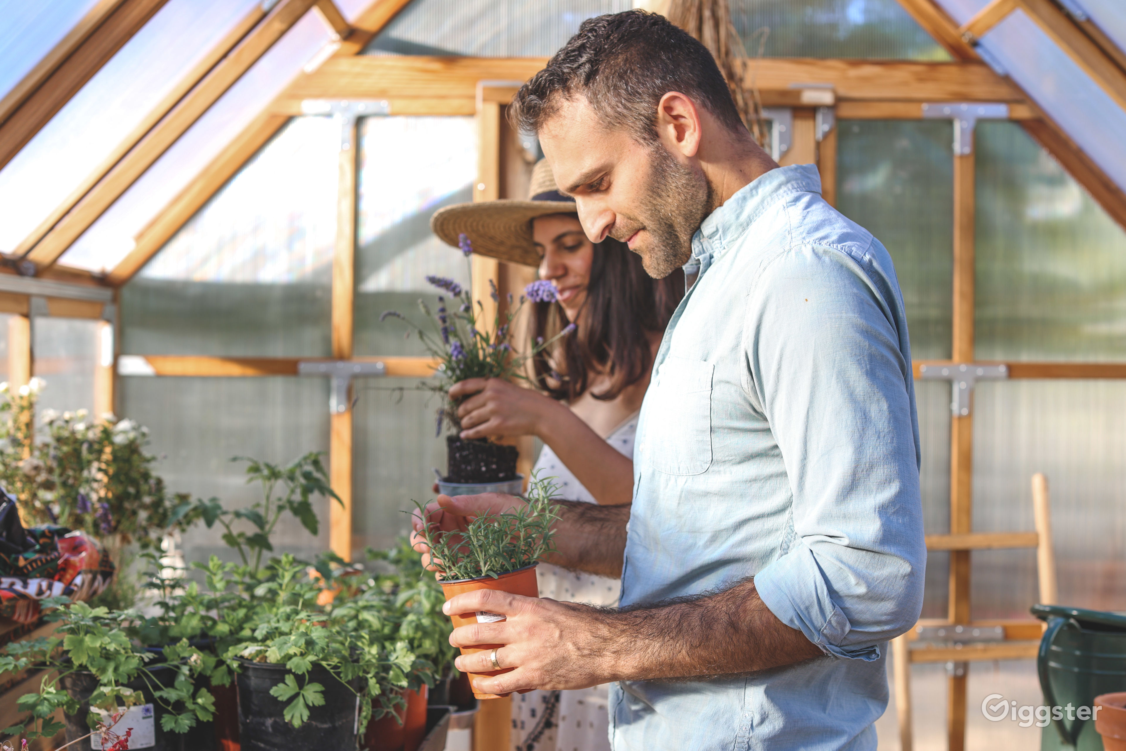 Production Ready Vegetable Garden with Greenhouse | Rent this location ...