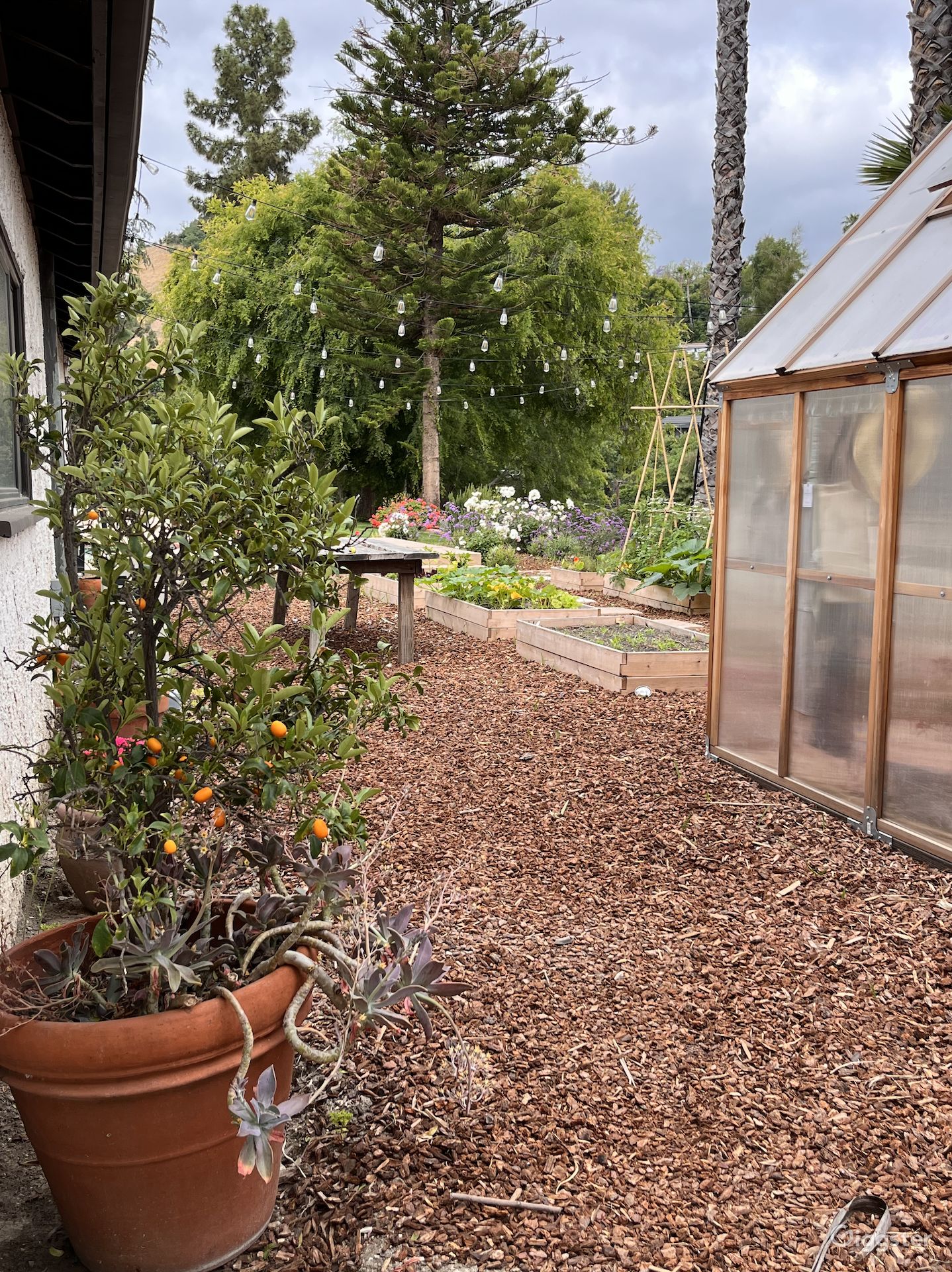 Production Ready Vegetable Garden with Greenhouse | Rent this location ...