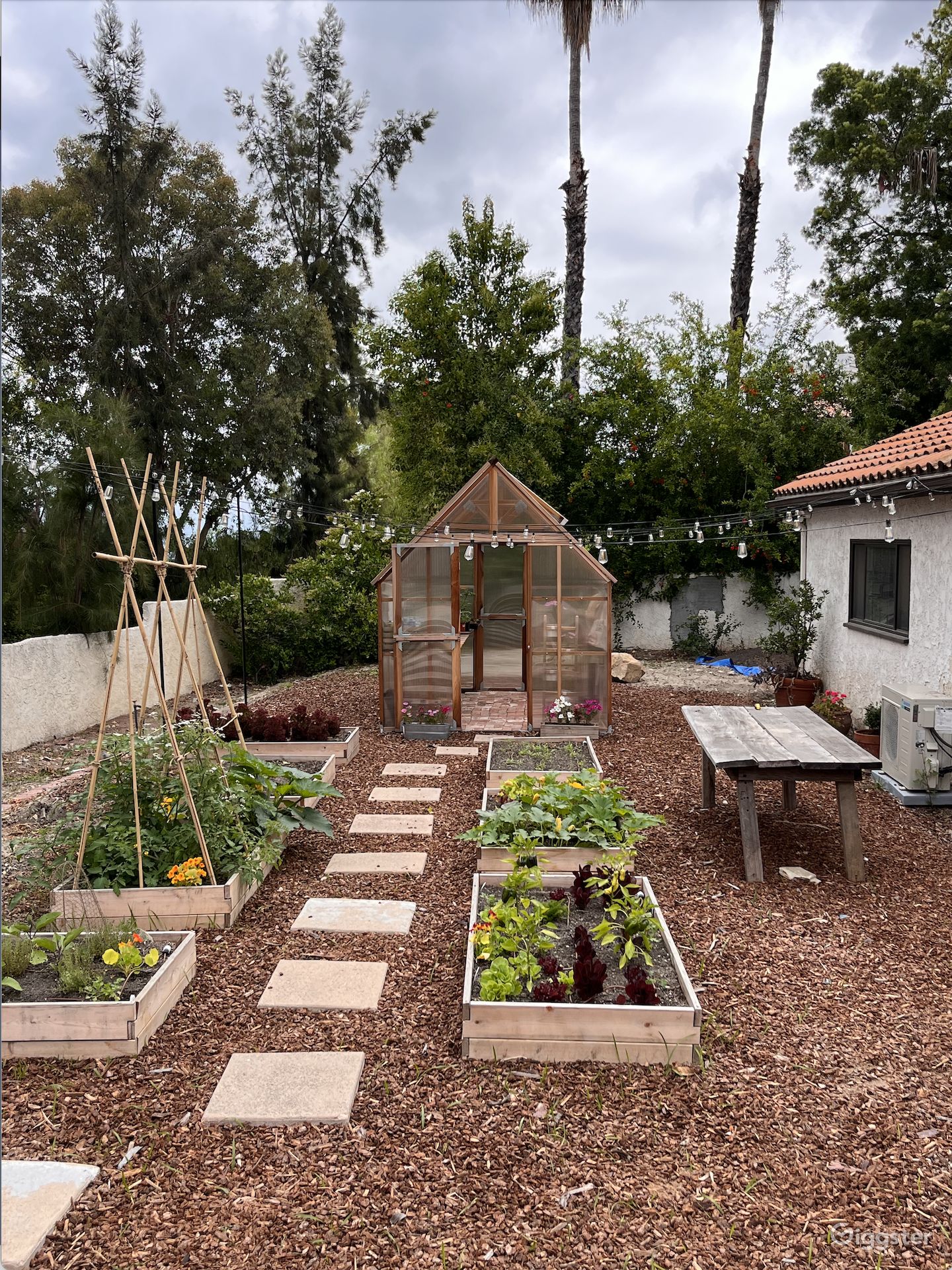 Production Ready Vegetable Garden with Greenhouse | Rent this location ...