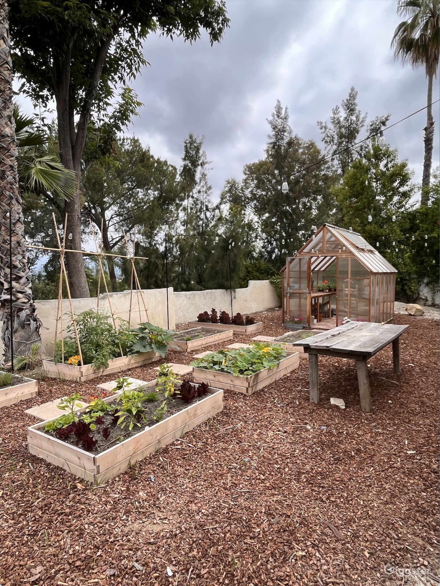 Production Ready Vegetable Garden with Greenhouse | Rent this location ...