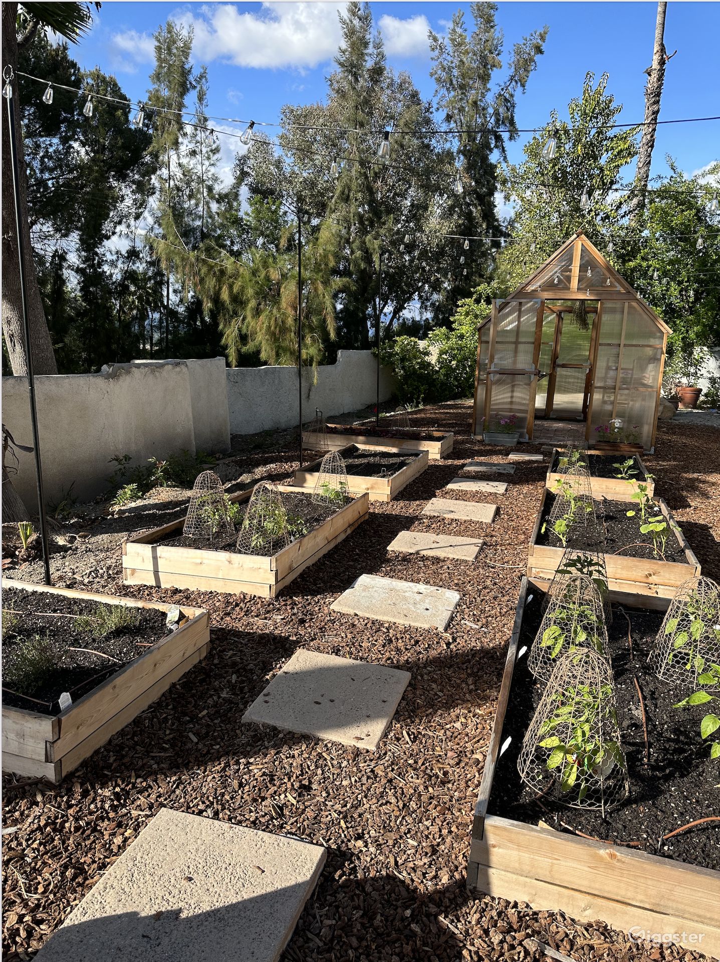 Production Ready Vegetable Garden with Greenhouse | Rent this location ...