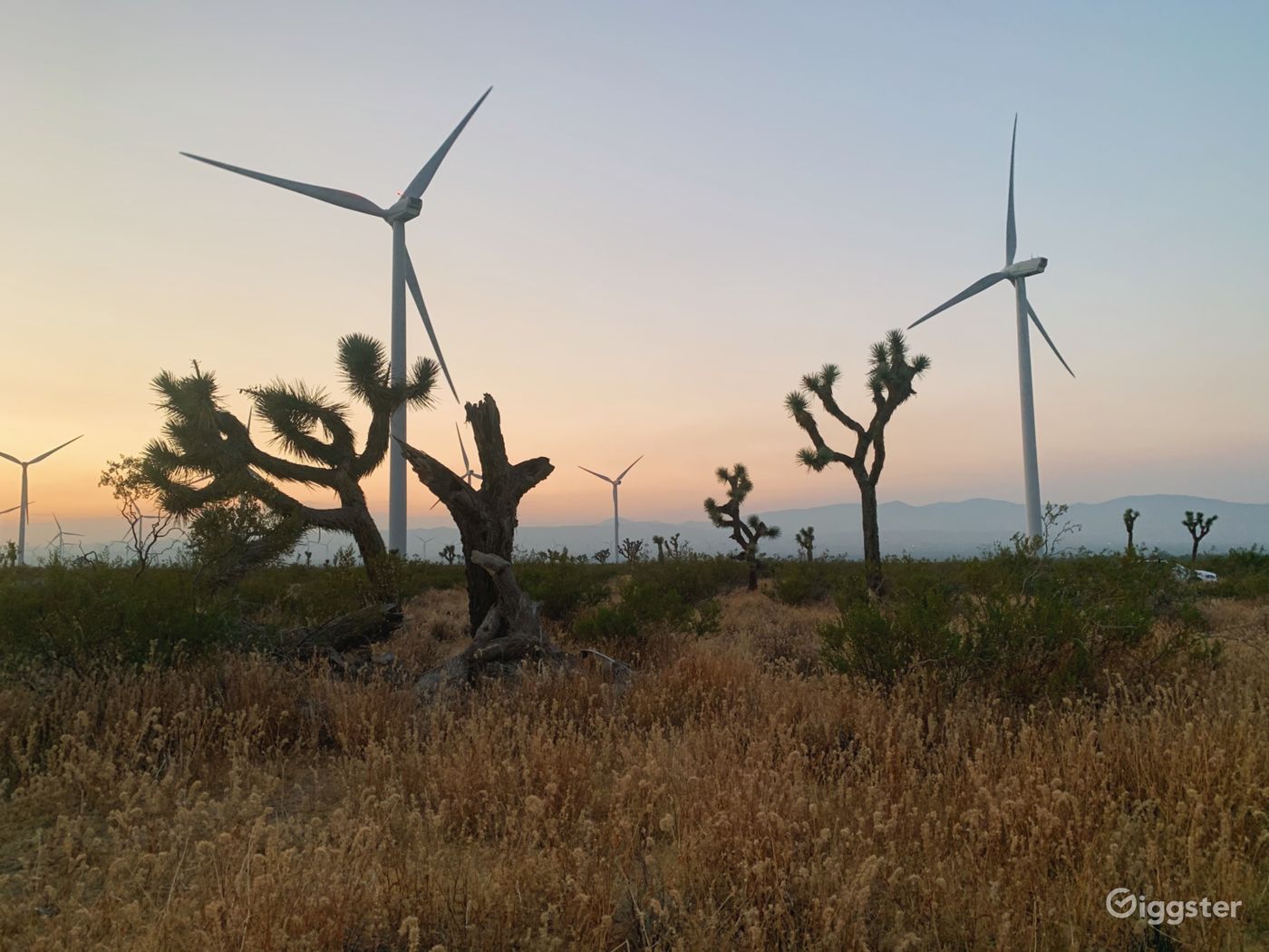 Wind Turbines field in Mojave | Rent this location on Giggster